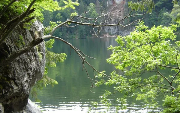 Taubensee - Taubenseehütte - Kössen